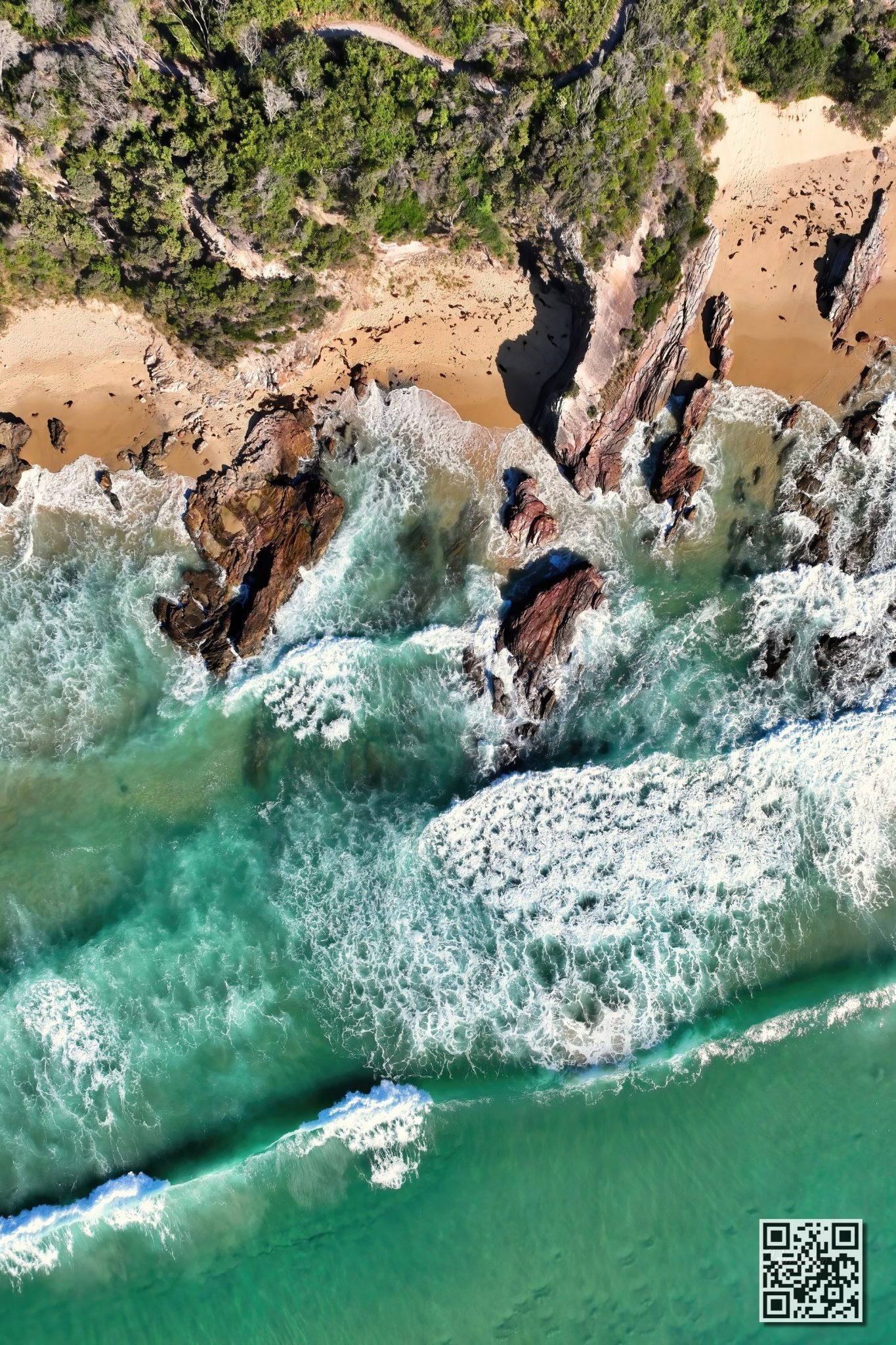 Quarry Beach 9 Jan 2023 - Coota.au - Your Gateway to Mallacoota